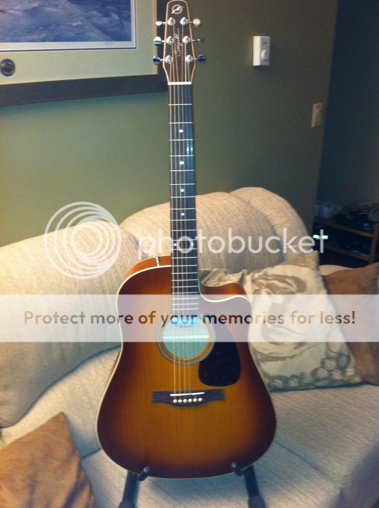 NGD - Seagull Entourage Rustic CW Q1 Acoustic / Electric | Ibanez JEM Forum